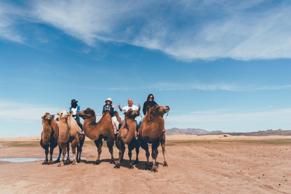 Camel riding | Steppe Mongolia - Travel to Mongolia | Local Agency in ...