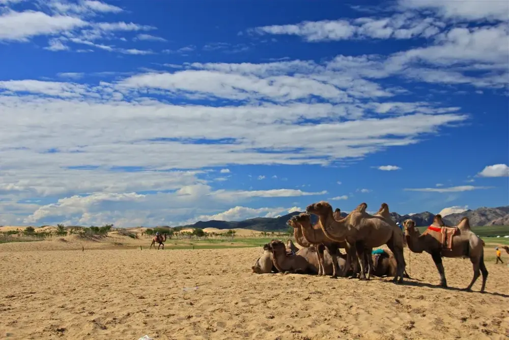 Khogno Khan National Park | Steppe Mongolia - Travel to Mongolia ...
