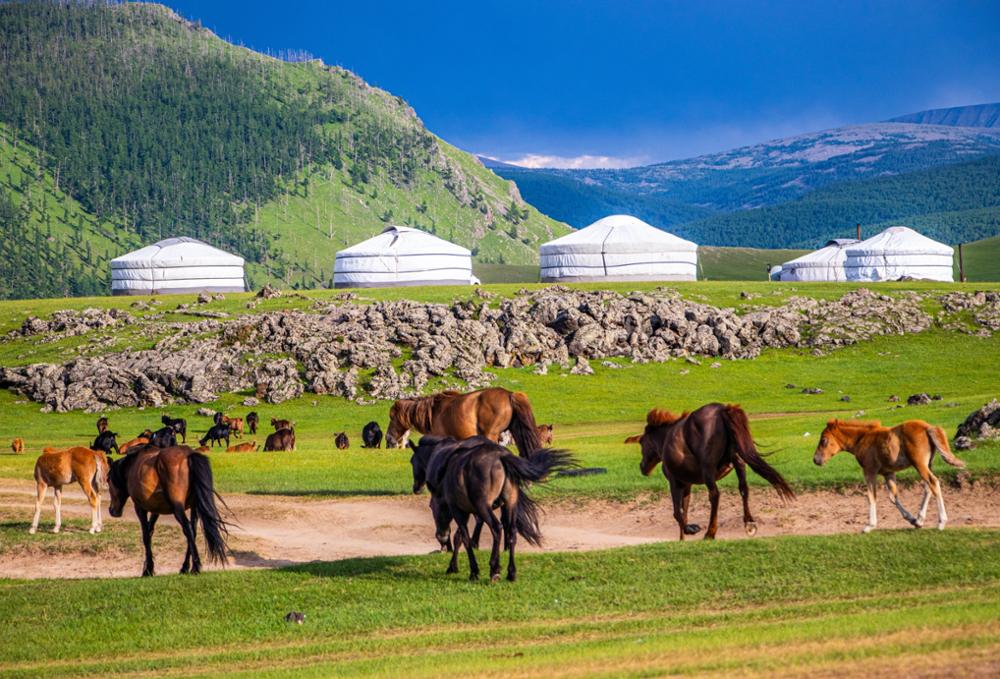 Great Khangai | Travel to Mongolia - Steppe Mongolia